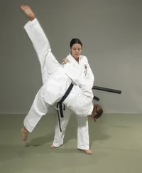 Jujutsu | Martial Arts Wiki | Fandom