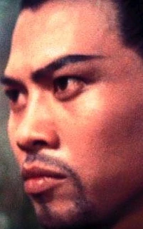 Lo Lieh | Martial Arts Wiki | Fandom