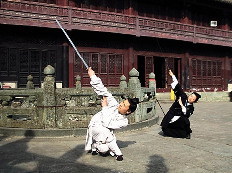 Chinese Martial Arts | Martial Arts Wiki | Fandom