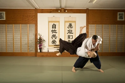 Aiki-jūjutsu | Martial Arts Wiki | Fandom