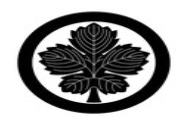 Abe | Martial Arts Kids Wiki | Fandom