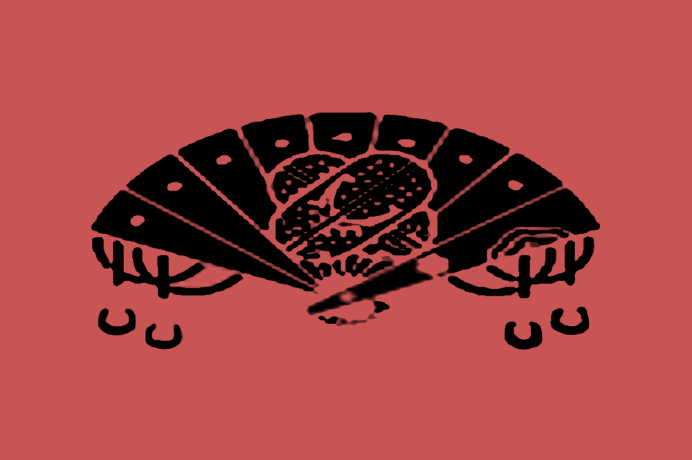 Ando | Martial Arts Kids Wiki | Fandom