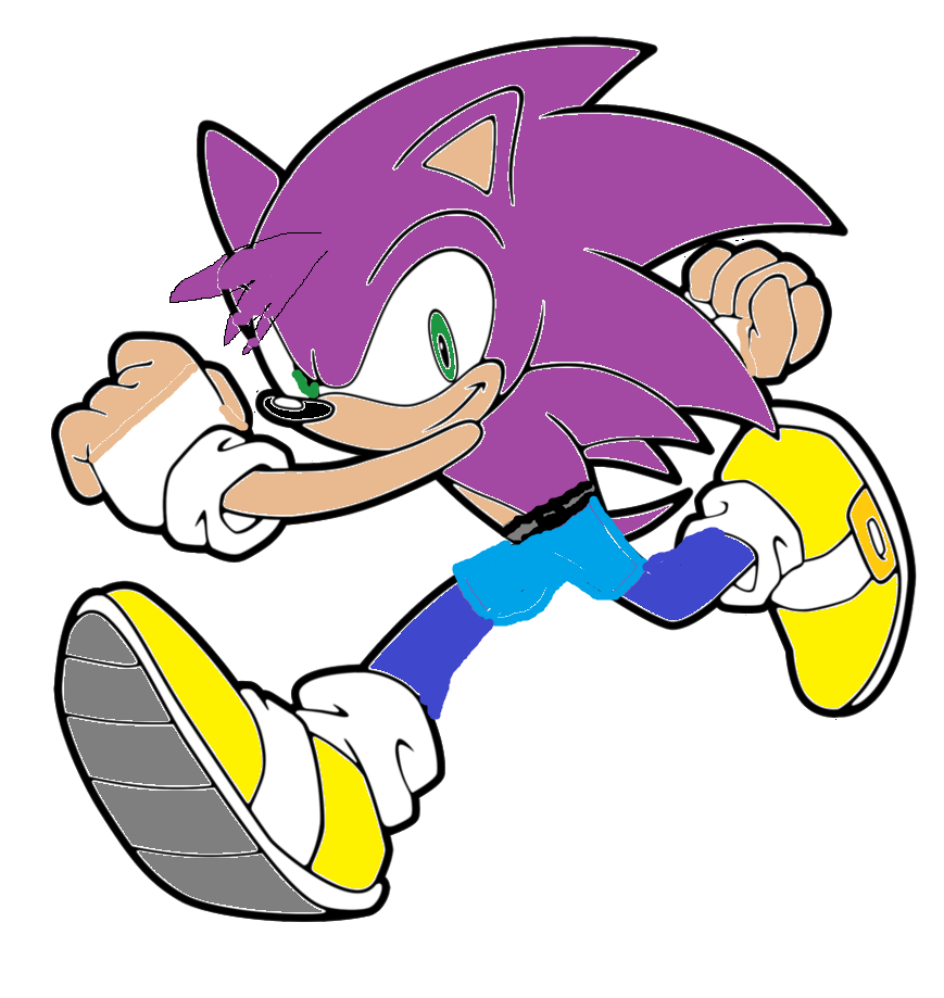 Sonic Jr. the Hedgehog | Martial Arts Kids Wiki | Fandom