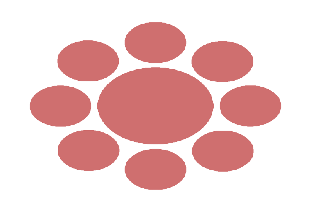 Adachi | Martial Arts Kids Wiki | Fandom