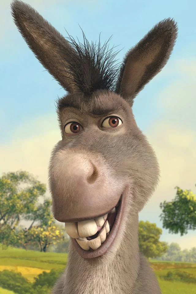 Donkey | Marty Wiki | Fandom