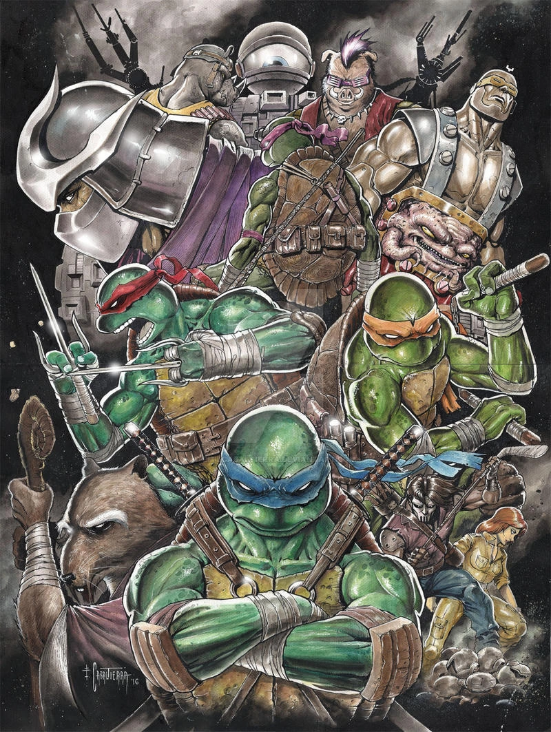 Usuario Blog:Un Maruchan Crudo/Teenage Mutant Ninja Turtles - Cálculos ...