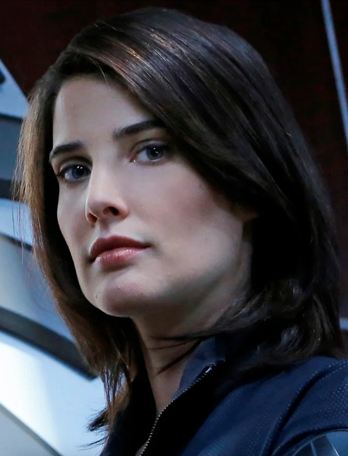 Maria Hill (Reality-98235) | Marvel Cinematic Universe Fanon Wiki | Fandom