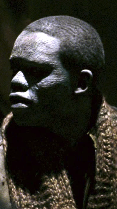 Kevin Tremain (Reality-10005) | Marvel Cinematic Universe Fanon Wiki ...