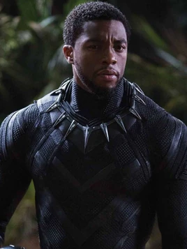 T'Challa Udaku (Black Panther) | Marvel Cinematic Universe Fanon Wiki ...