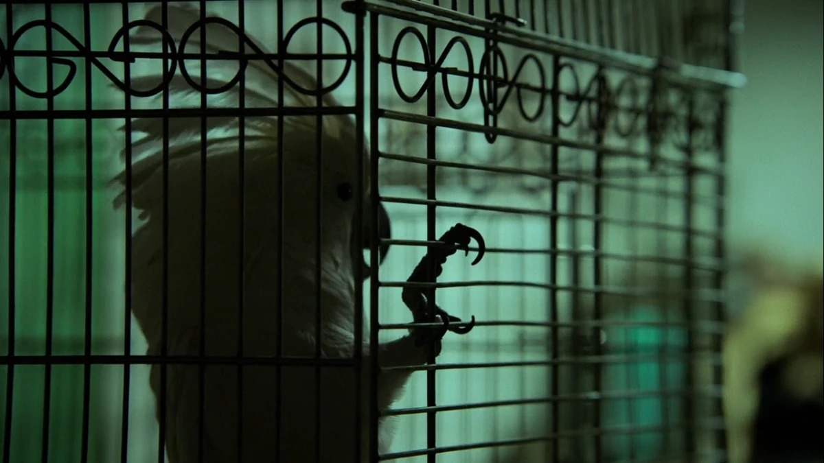 Fred | Marvel Cinematic Universe Wiki | Fandom