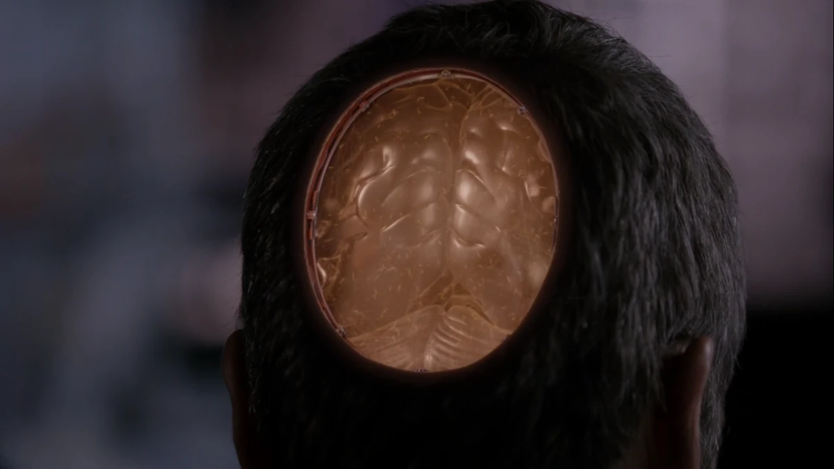 Quantum Brain | Marvel Cinematic Universe Wiki | Fandom
