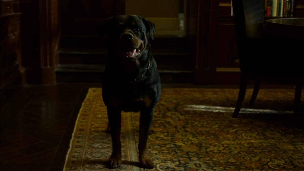 Toro | Marvel Cinematic Universe Wiki | Fandom