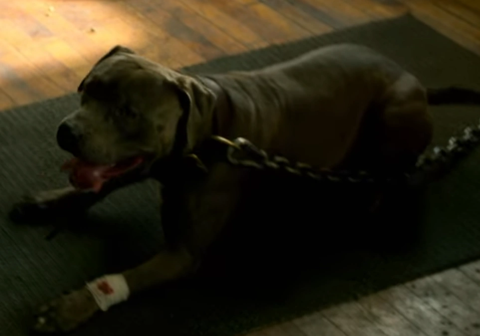 Max | Marvel Cinematic Universe Wiki | Fandom