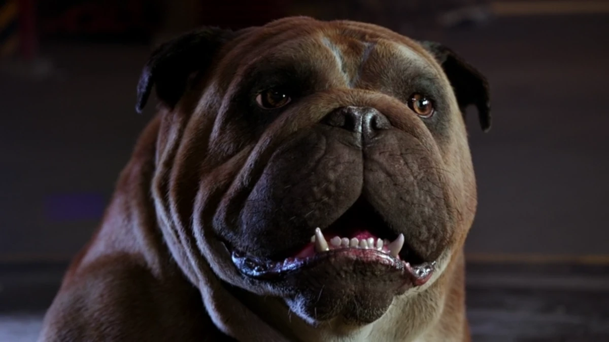 Lockjaw | Marvel Cinematic Universe Wiki | Fandom