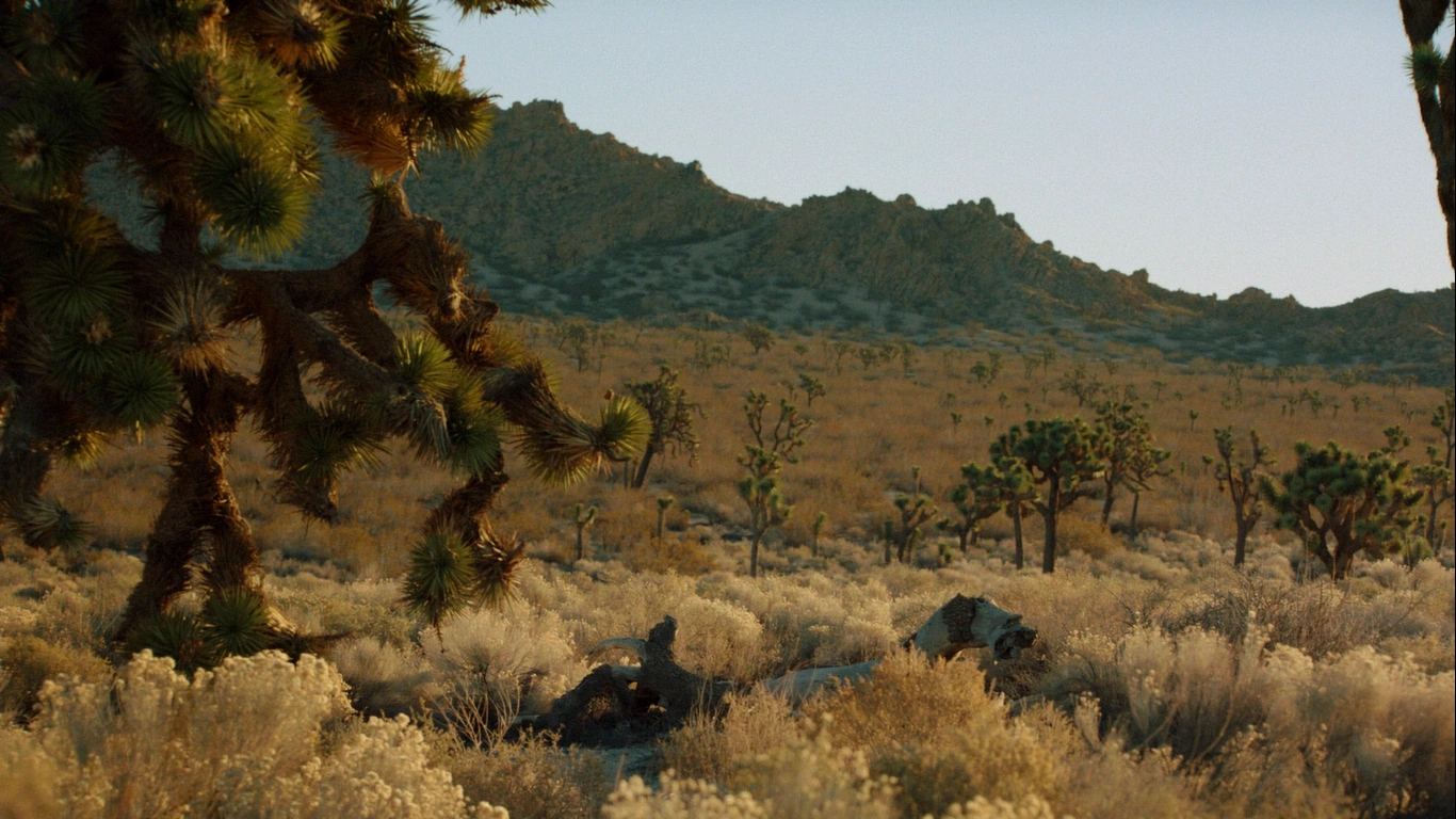 Death Valley | Marvel Cinematic Universe Wiki | Fandom