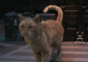 Goose | Marvel Cinematic Universe Wiki | Fandom