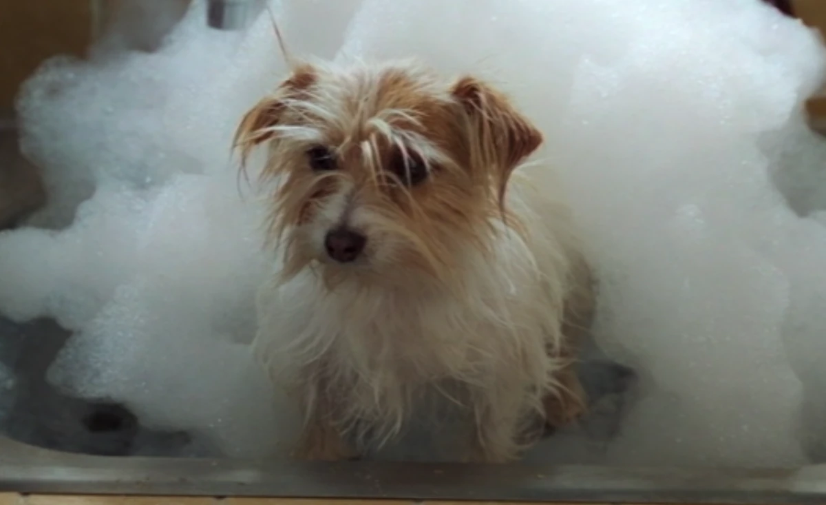 Sparky | Marvel Cinematic Universe Wiki | Fandom