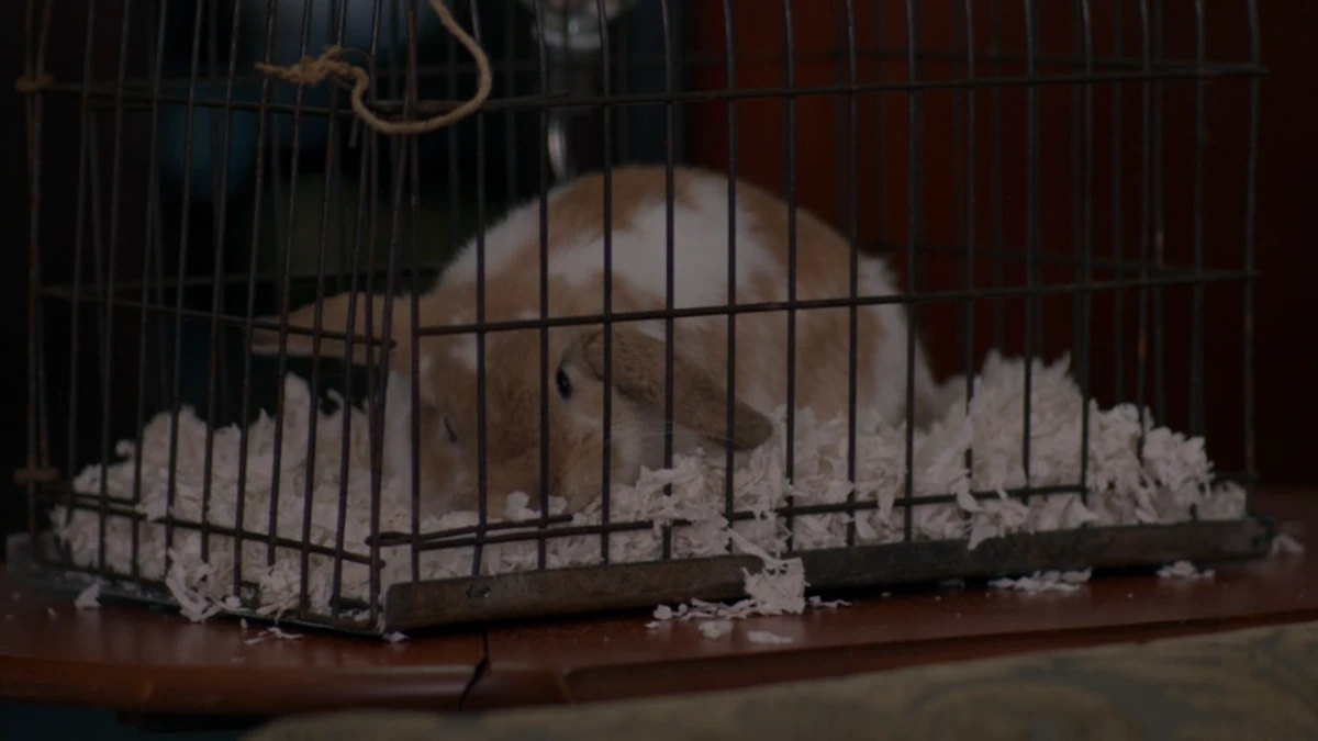 Señor Scratchy | Marvel Cinematic Universe Wiki | Fandom