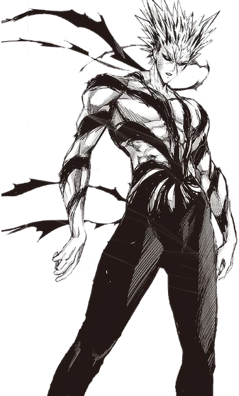 Garou | Indexing Power Level Wiki | Fandom