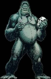 Gorilla Grodd (Post-Crisis) | Marvel & DC Wiki | Fandom