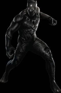 Black Panther (MCU) | Marvel & DC Wiki | Fandom