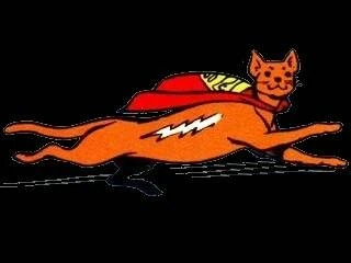 Streaky the Supercat (Pre-Crisis) | Marvel & DC Wiki | Fandom