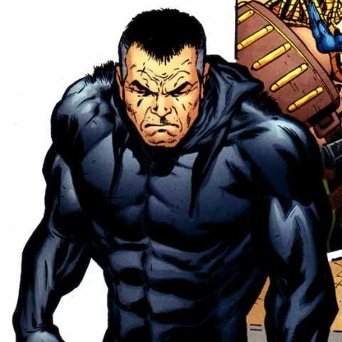 Wildcat (Ted Grant) | Marvel2000 Wiki | Fandom