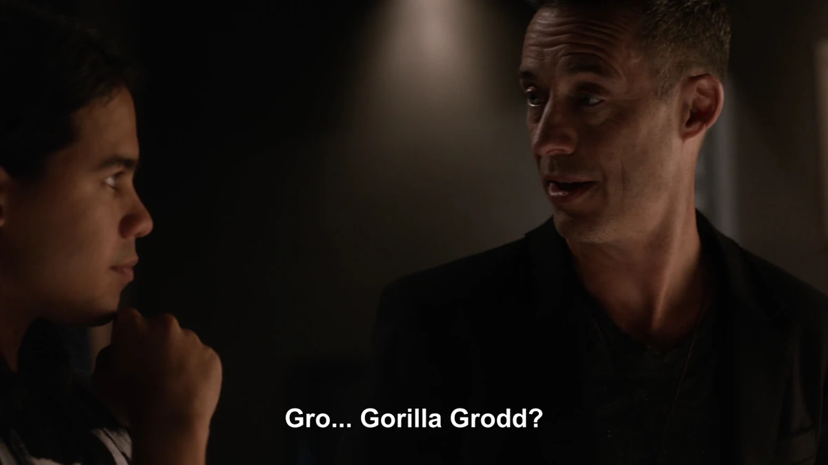 Grodd (Arrowverse: Earth-19) | DC Database | Fandom