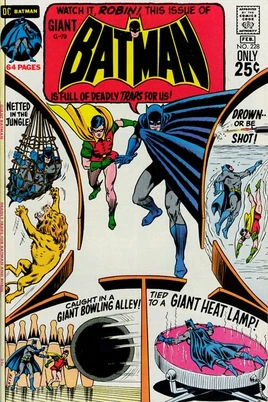 Batman Vol 1 228 | DC Database | Fandom