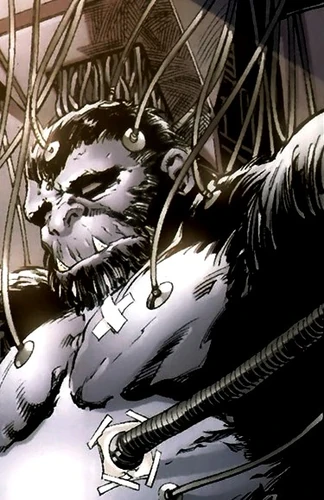 Titano (disambiguation) | DC Database | Fandom