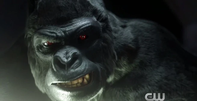 Grodd (Arrowverse)/Gallery | DC Database | Fandom