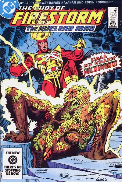 Firestorm Vol 2 19 Dc Database Fandom