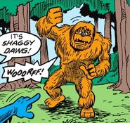 Shaggy Man (disambiguation) | DC Database | Fandom