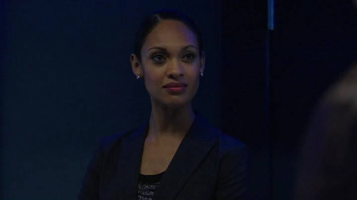 Amanda Waller (Arrowverse)/Gallery | DC Database | Fandom