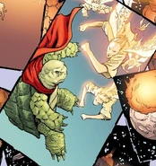Super-Turtle (disambiguation) | DC Database | Fandom