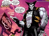 Category:Amalgam Universe Characters | DC Database | Fandom