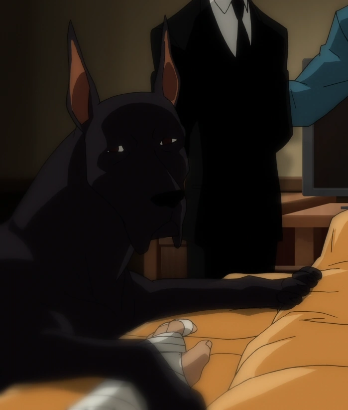 Ace the Bat-Hound (Batman: Under the Red Hood) | DC Database | Fandom