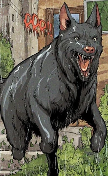 how to draw ace the bat hound