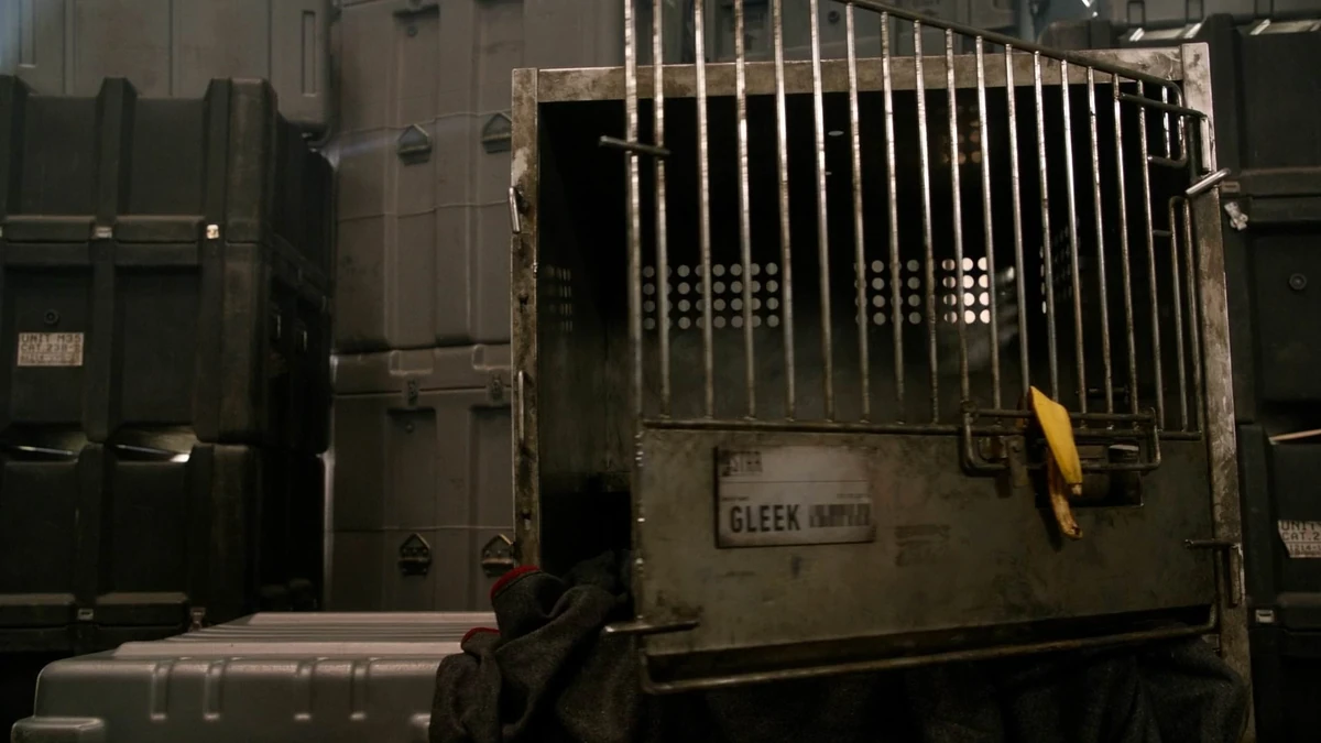 Gleek (Arrowverse) | DC Database | Fandom