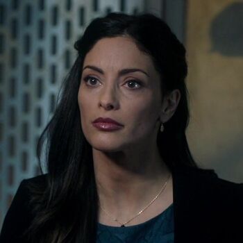 Erica Cerra | DC Database | Fandom