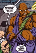 Misfit (disambiguation) | DC Database | Fandom