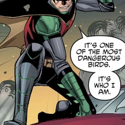 Tim Drake Quotes