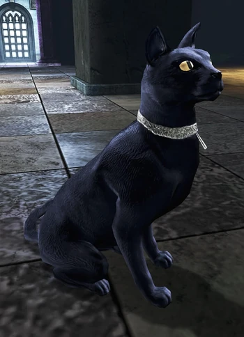 Isis the Cat (DC Universe Online) | DC Database | Fandom