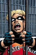 Nightwing (disambiguation) | DC Database | Fandom