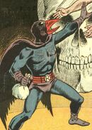 Raven (disambiguation) | DC Database | Fandom