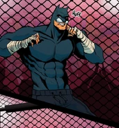 Wildcat (disambiguation) | DC Database | Fandom