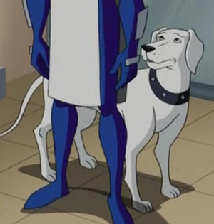 Krypto (DCAU) | DC Database | Fandom