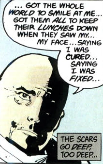 Two-Face (Earth-686) | Batman Wiki | Fandom