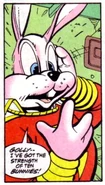 Hoppy the Marvel Bunny (disambiguation) | DC Database | Fandom