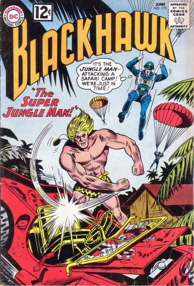 Blackhawk Vol 1 173 | DC Database | Fandom